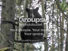 Homemade treestands