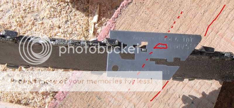 carlton file-o-plate | Page 3 | Arborist, Chainsaw & Tree Work Forum